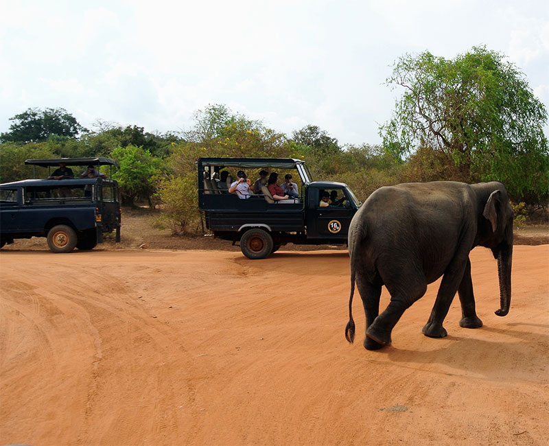 Ruhuna National Park